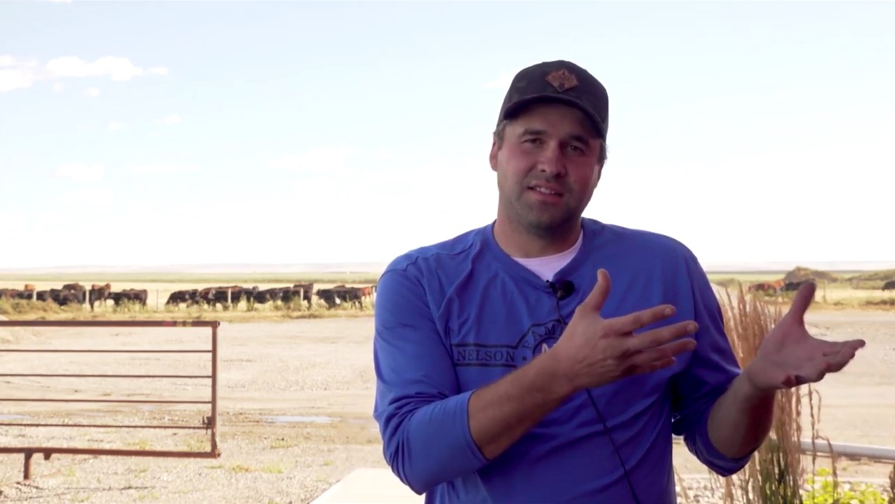 Bull Handling Incident - Heartland Training & Support Hub